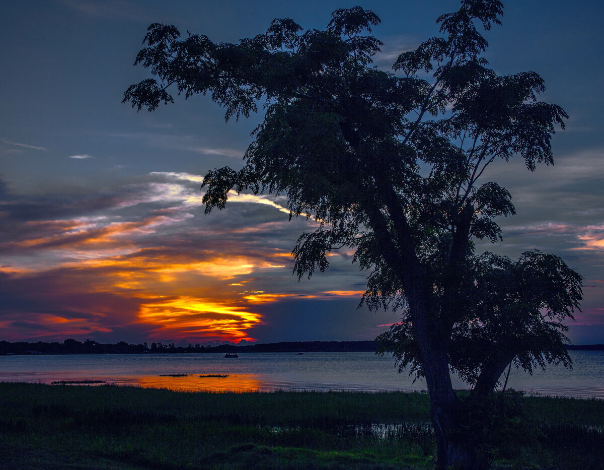 Lake Sunset – ART CENTER OF CITRUS COUNTY